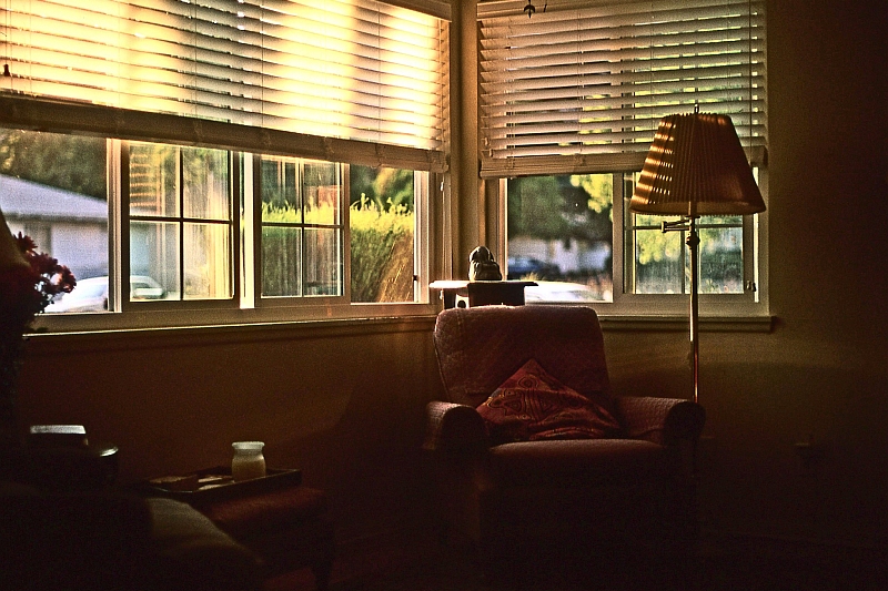 No shelter - Overland literary journal