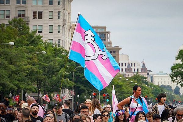 Dear cis people: what we need are comrades, not allies - Overland ...